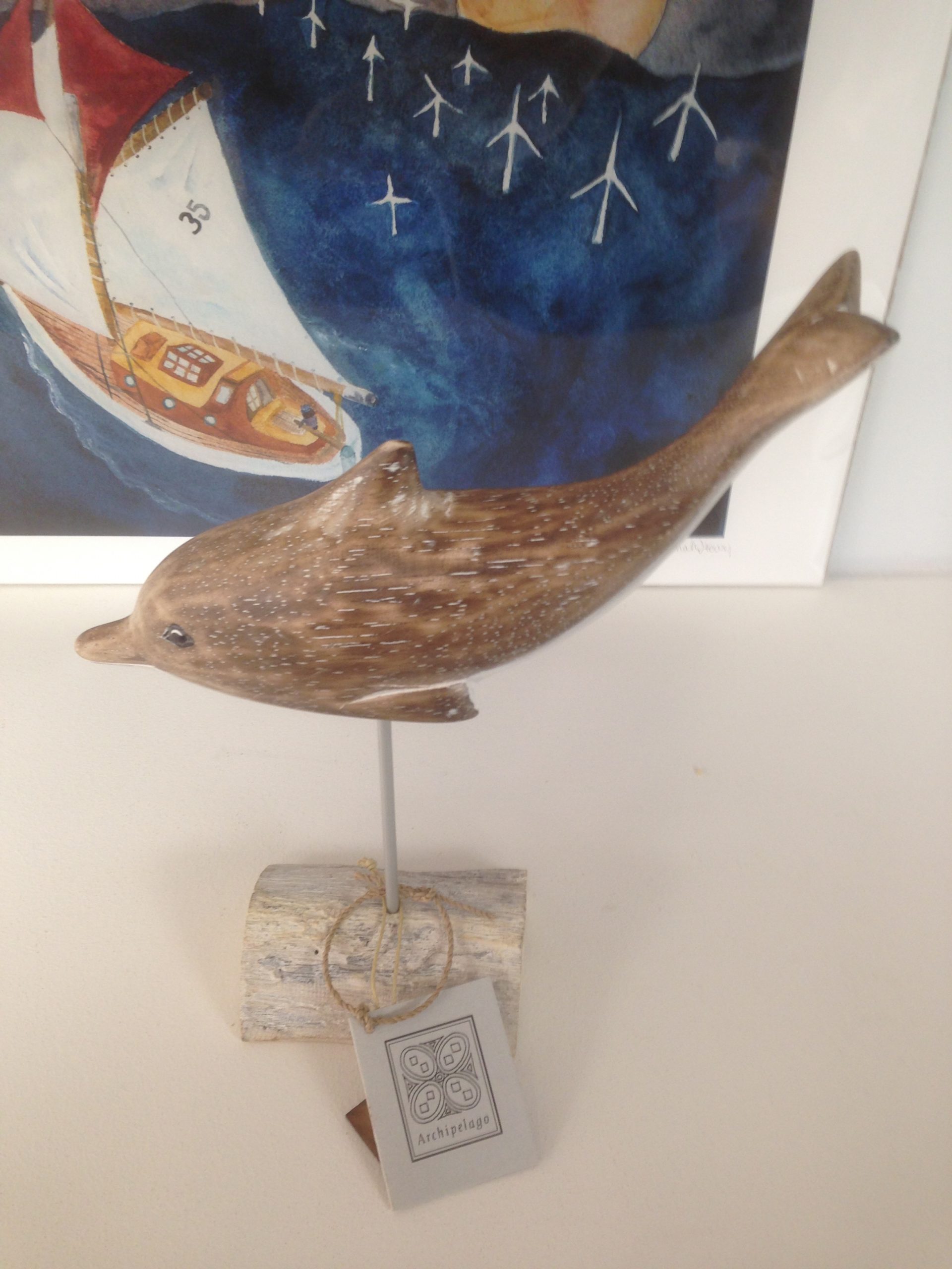 Dolphin diving - Falcon Boats