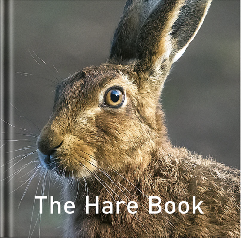 The Hare book - GG - Falcon Boats