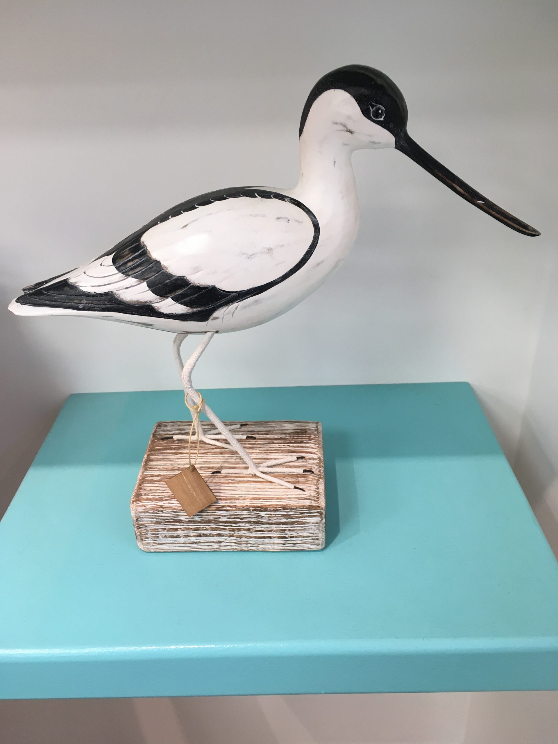 Avocet Walking - Falcon Boats