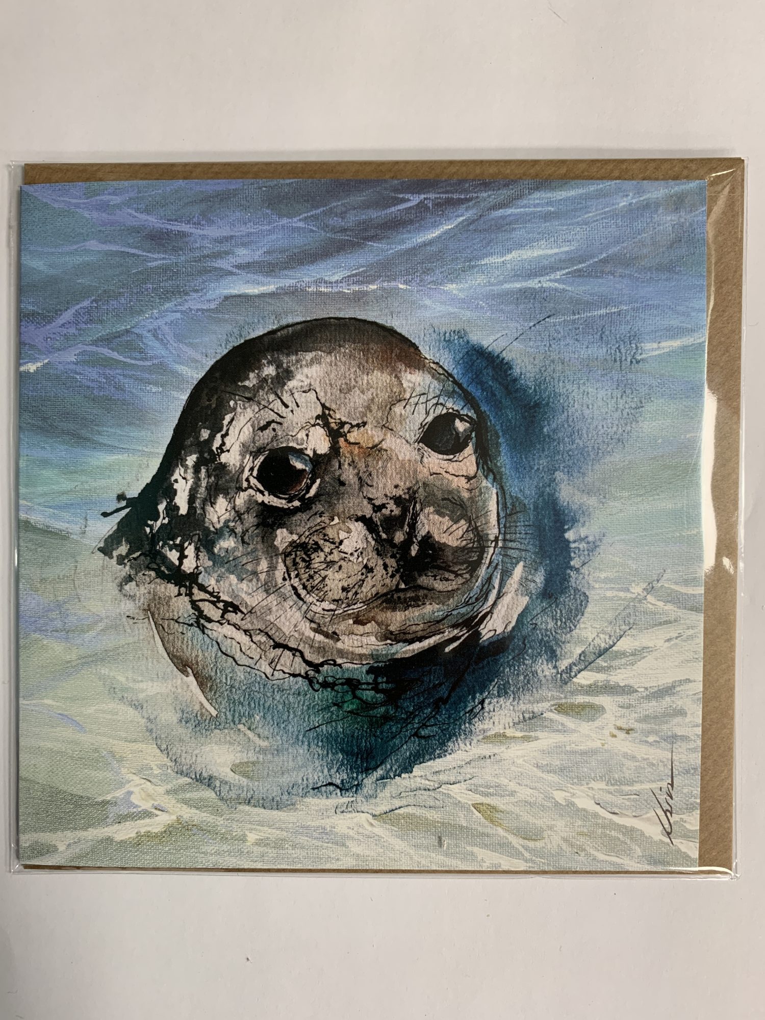 Chris Prosser - 'Those Eyes' Common Seal - Falcon Boats