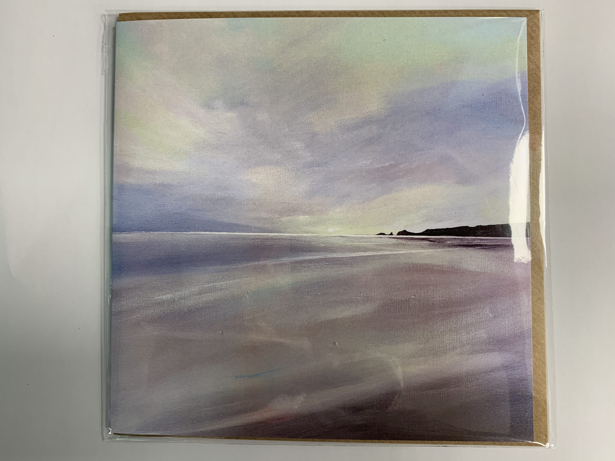 Chris Prosser - New Beginnings, New Horizons' Monkstone Point - Falcon ...