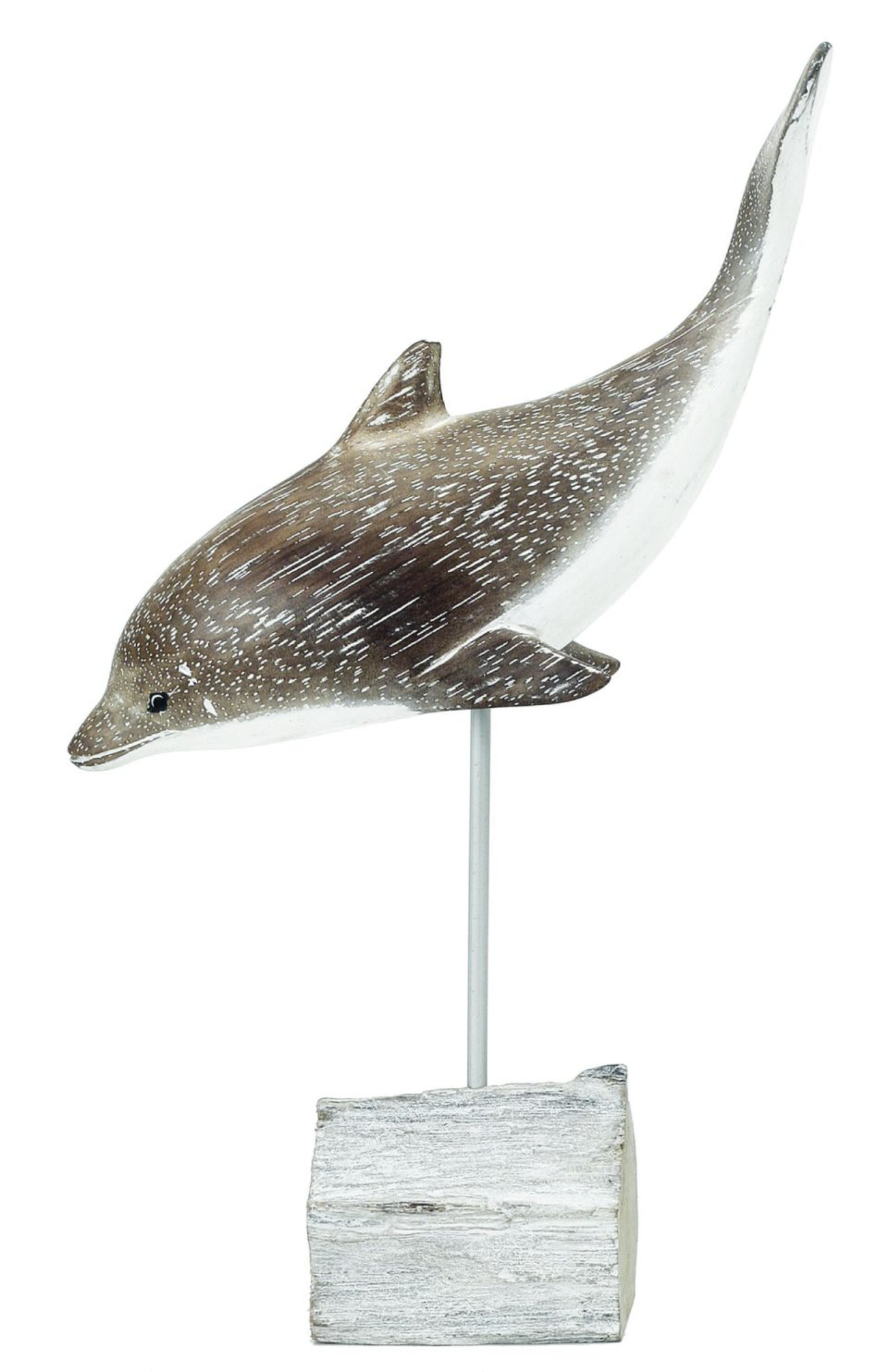 Dolphin diving - QT - Falcon Boats