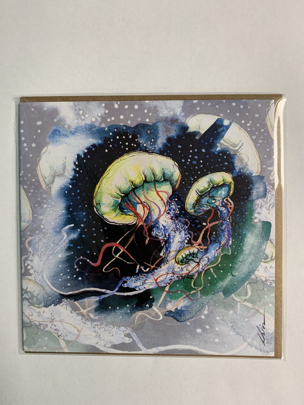 Chris Prosser - 'Dancing in the Depths' Jellyfish - CP - Falcon Boats